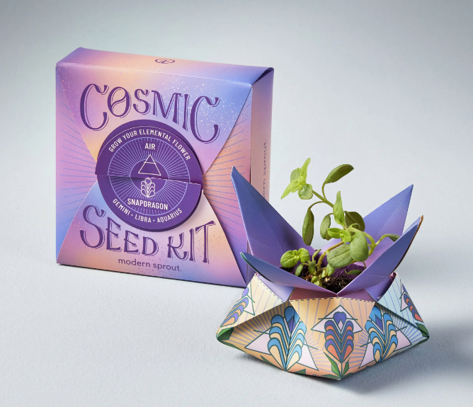 Cosmic Seed Kit – Desert Rose Cactus Lounge