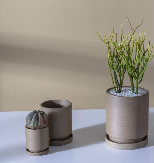 Imogen Planter – Desert Rose Cactus Lounge